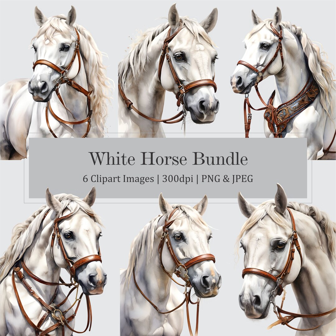 6 Watercolor White Horse Clipart Bundle Digital Download PNG ...