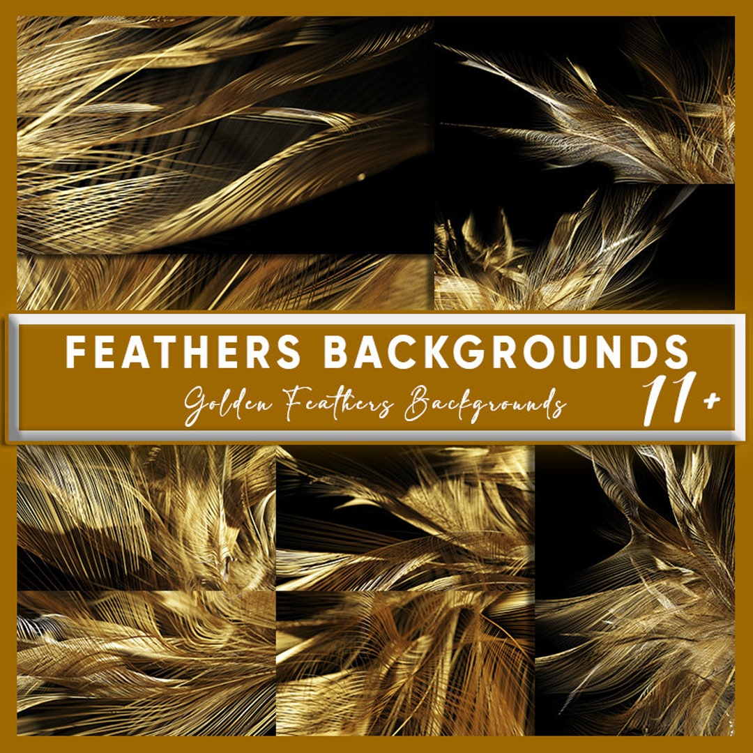 Golden Feathers Backgrounds Bundle, Photo Backdrop, Photo Background ...