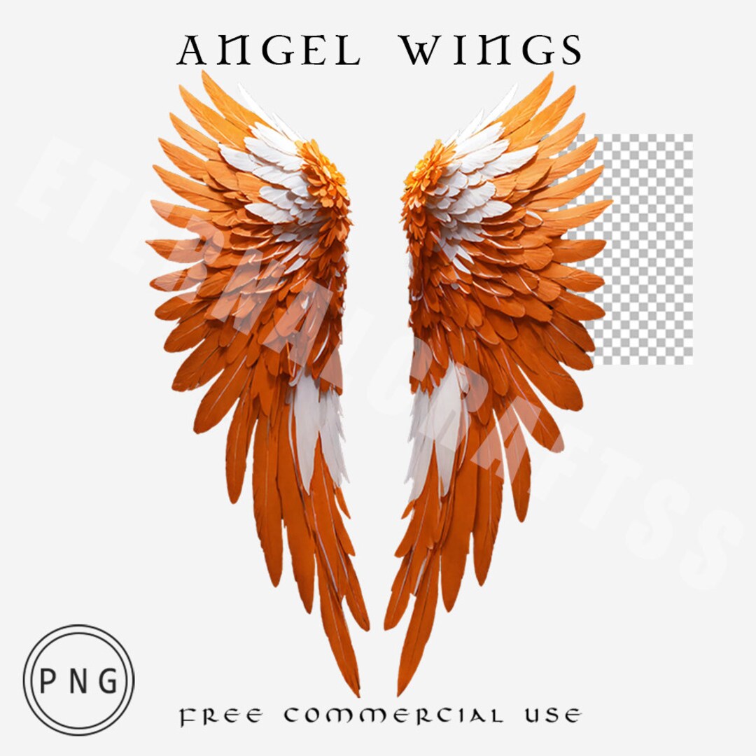 Orange Angel Wings Png, Watercolor Wings, Coloured Wings Png, Image ...