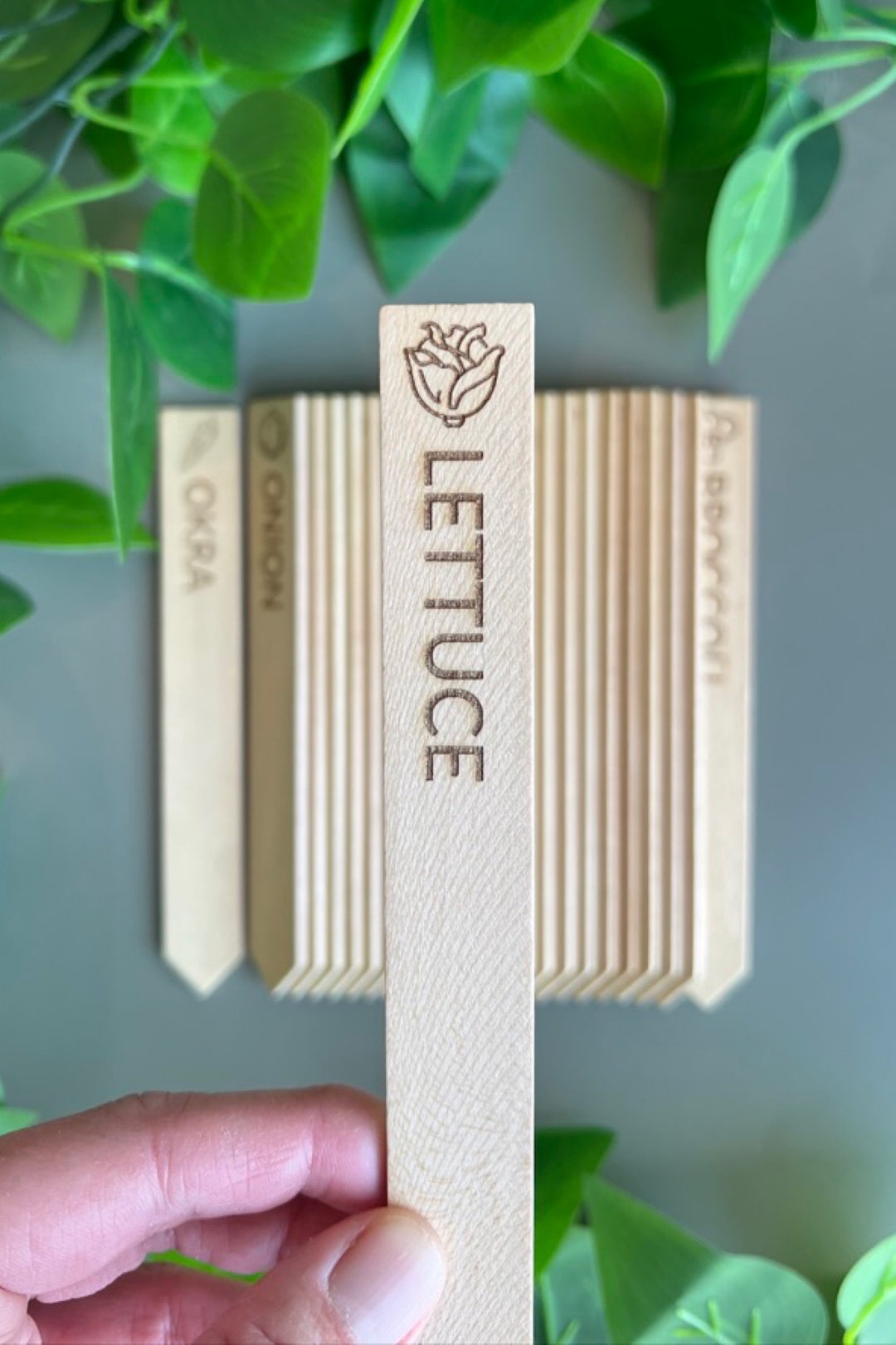 Lettuce Garden Stake: Laser Engraved Basswood Vegetable Plant Label - Etsy