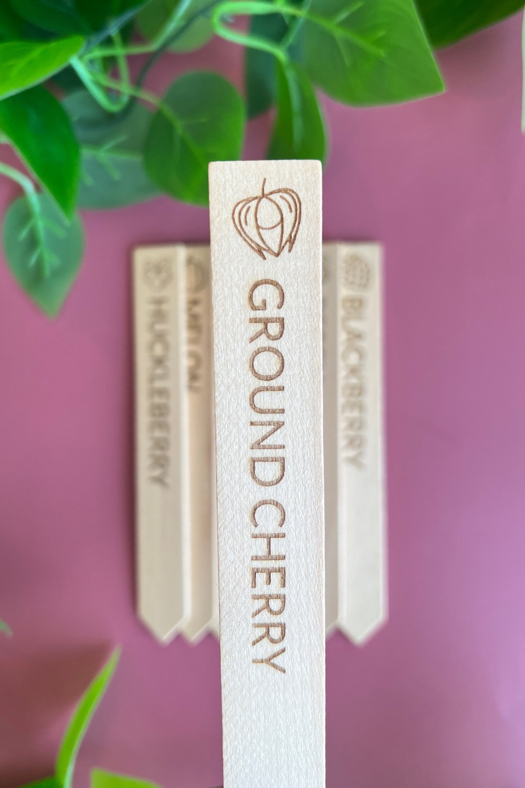 Wooden Ground Cherry Gooseberry Garden Stake, Fruit Plant Label, Garden ...