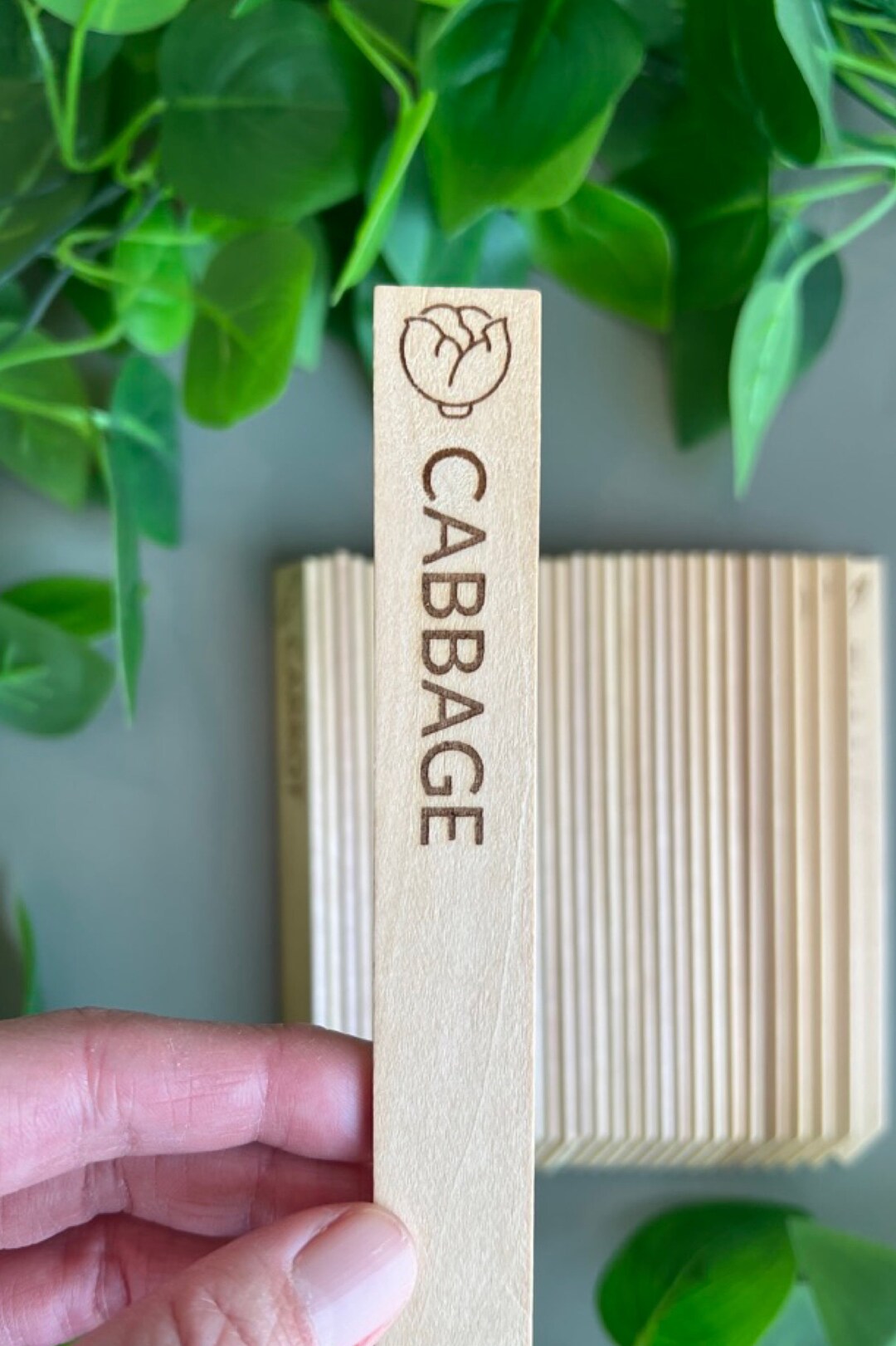 Laser Engraved Cabbage Garden Stake: Basswood Vegetable Plant Label - Etsy