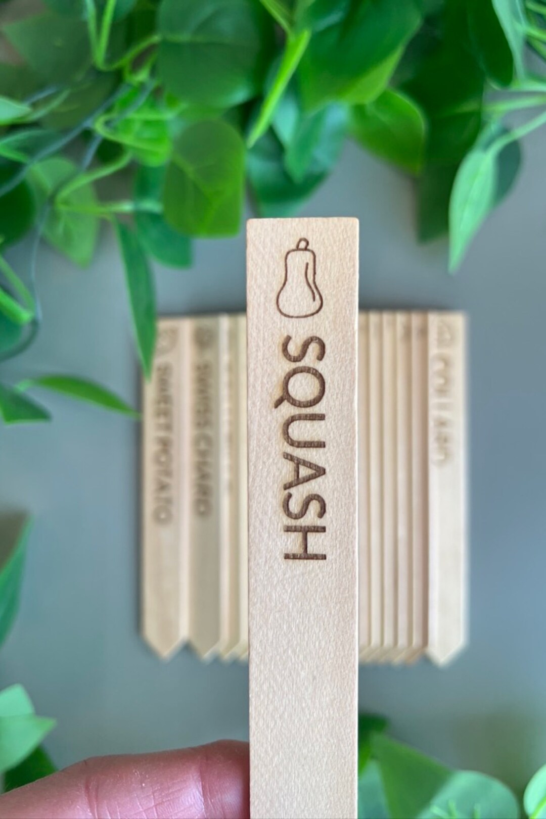 Squash Garden Stake: Laser Engraved Basswood Plant Label - Etsy