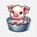 Cute Baby Pig in Washtub PNG, Baby Pig Clipart Instant Download ...