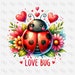 Ladybug Love Bug PNG, Ladybug Clipart, Instant Download, Digital, 300 ...