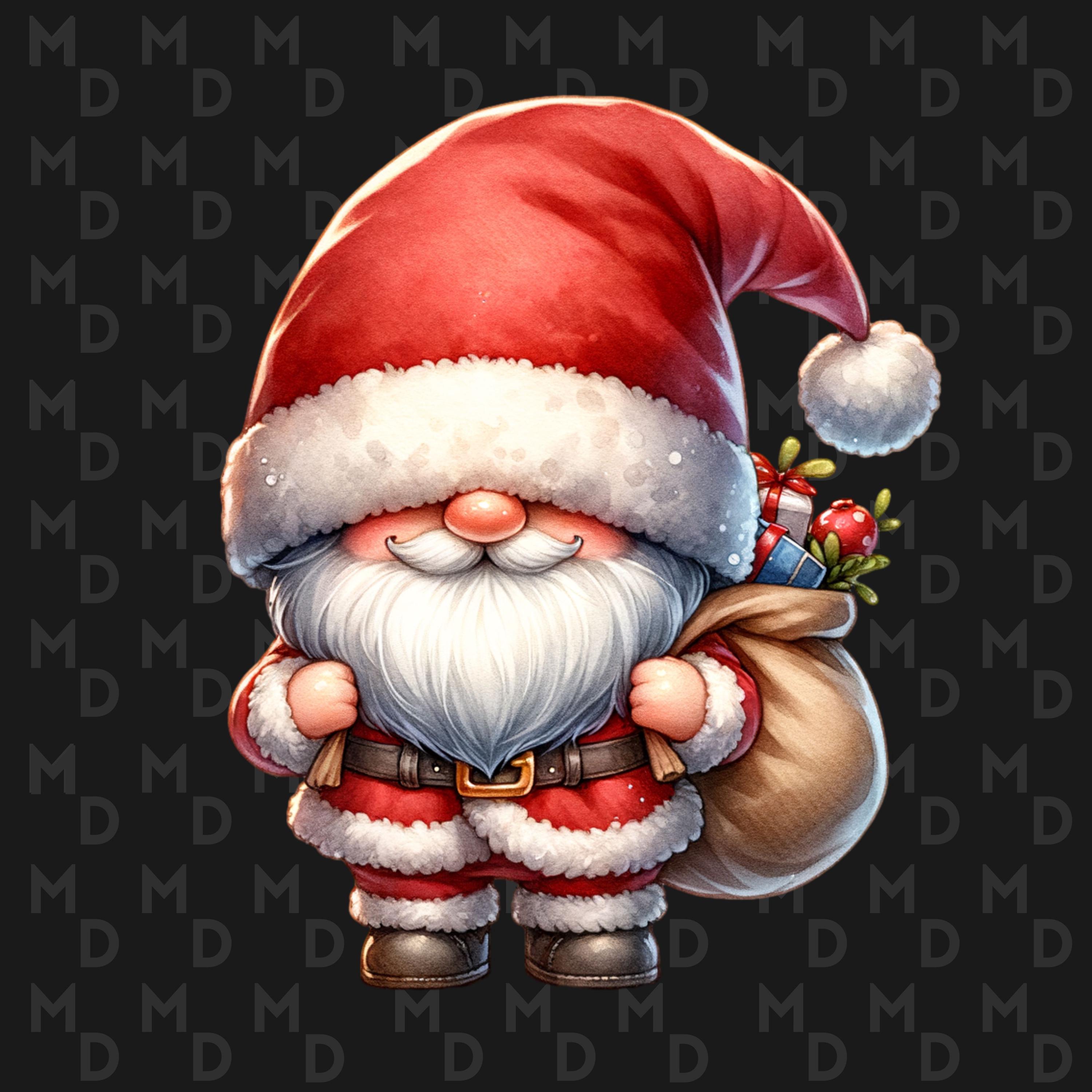 Christmas Gnome Santa PNG, Girl, Instant Download, Digital, Christmas ...