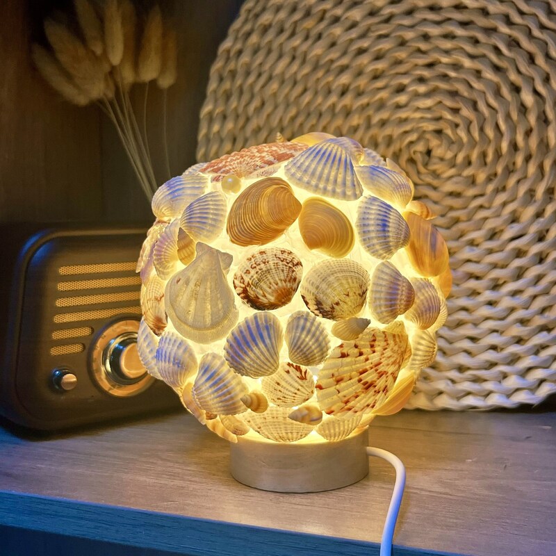 Shell Lamp - Etsy