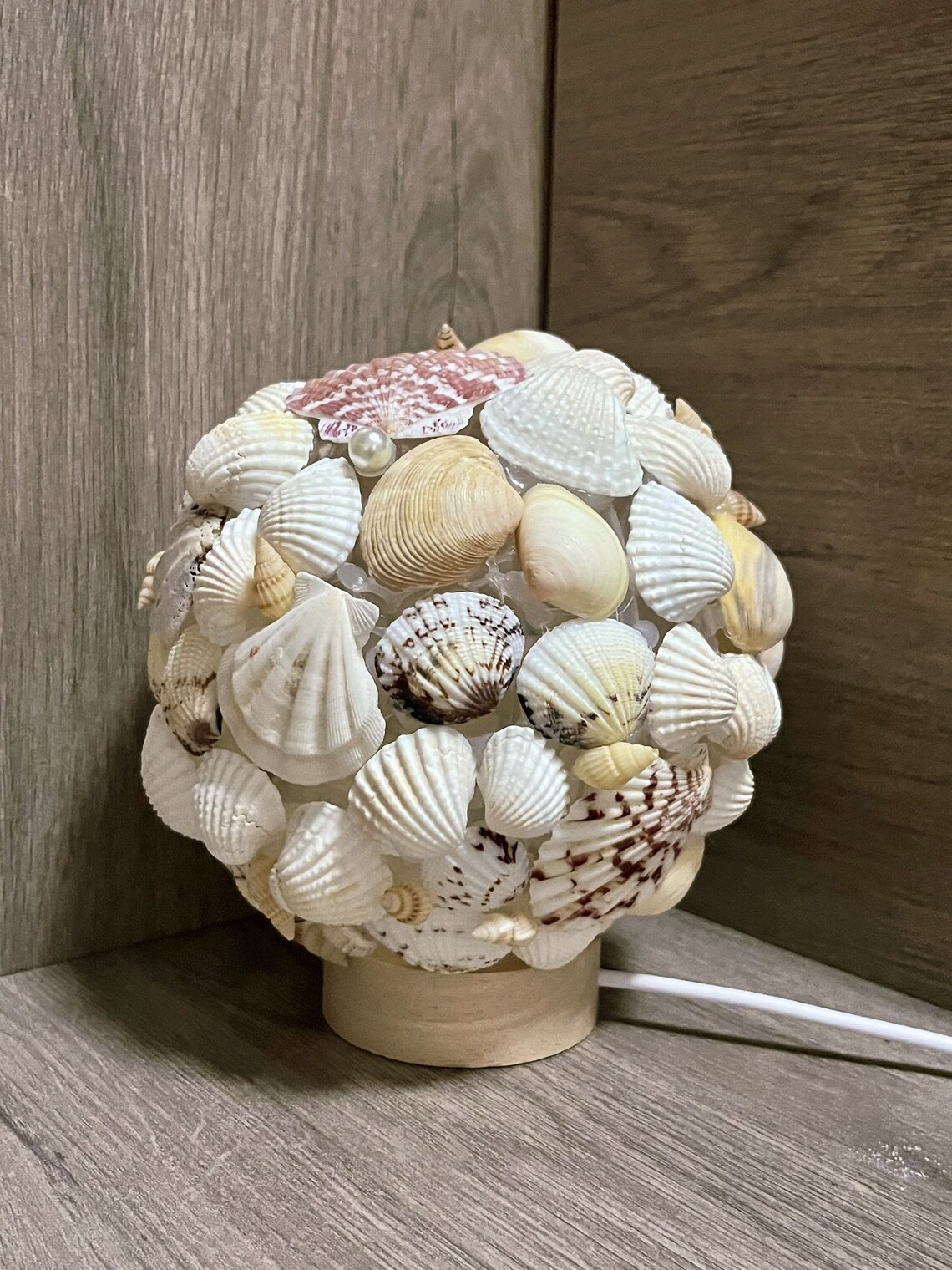 Seashell Nightlight, Shell Lamp, LED Light, Lighting, Lamp, Shell Light ...