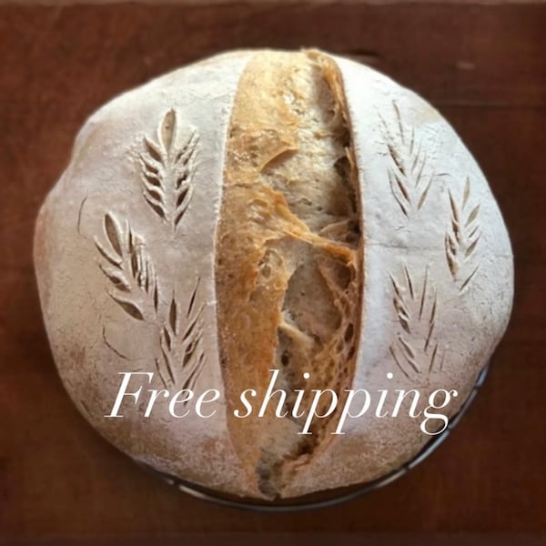 Sea & Seas Shipping - Etsy