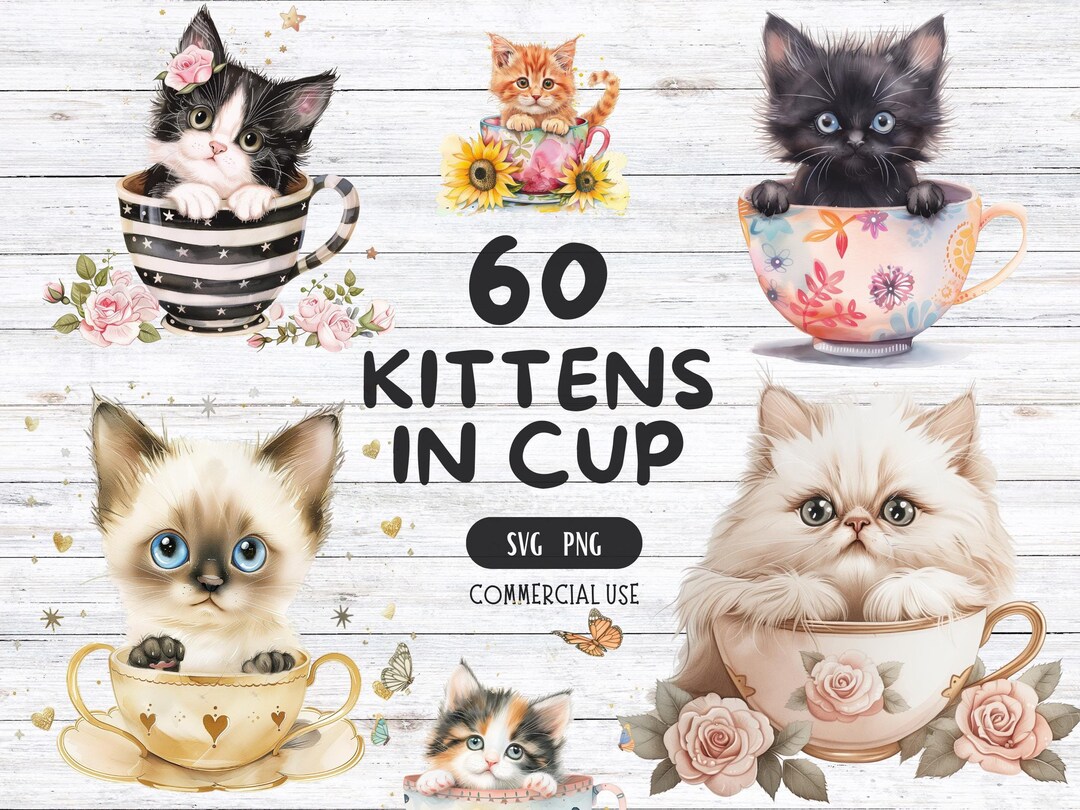 Teacup Kitten Clipart Bundle: 60 Kawaii Cat PNG SVG (digital Download ...