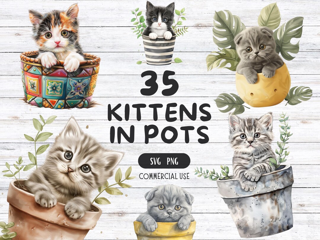 35 Kitten in Pot Clipart Cute Cat Flower Pot Sublimation Sleeping ...