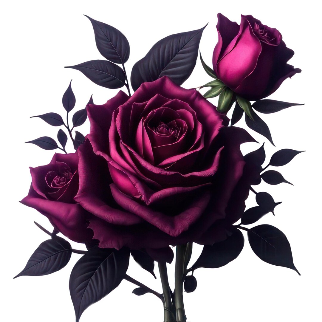 7 Red Roses Flowers Png, Printable Flowers Clipart, Printable Roses ...