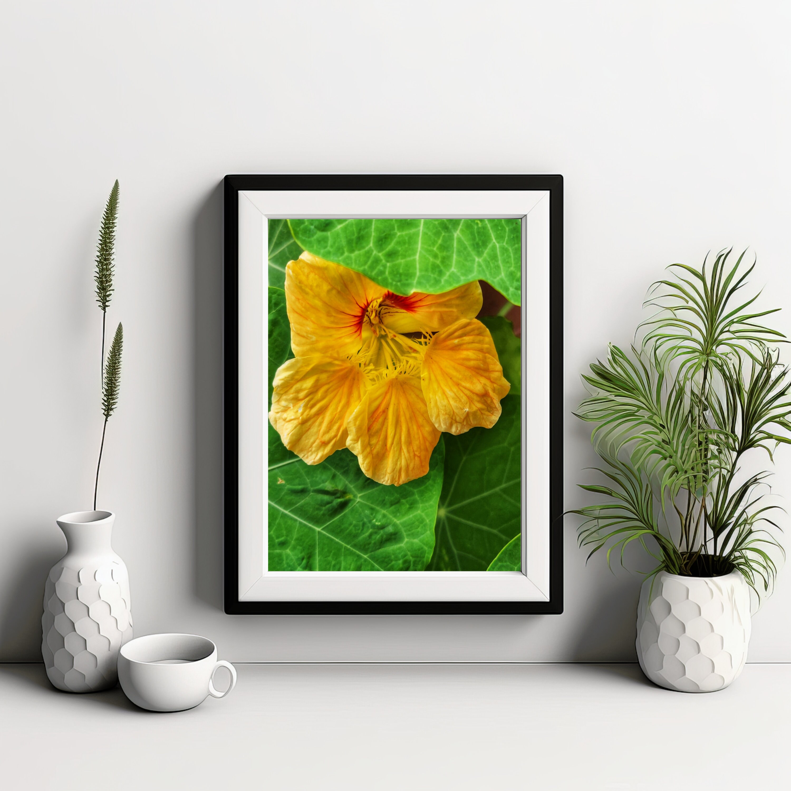 Close up Yellow Larkspur Photo, Printable Flower Photo, Downloadable ...