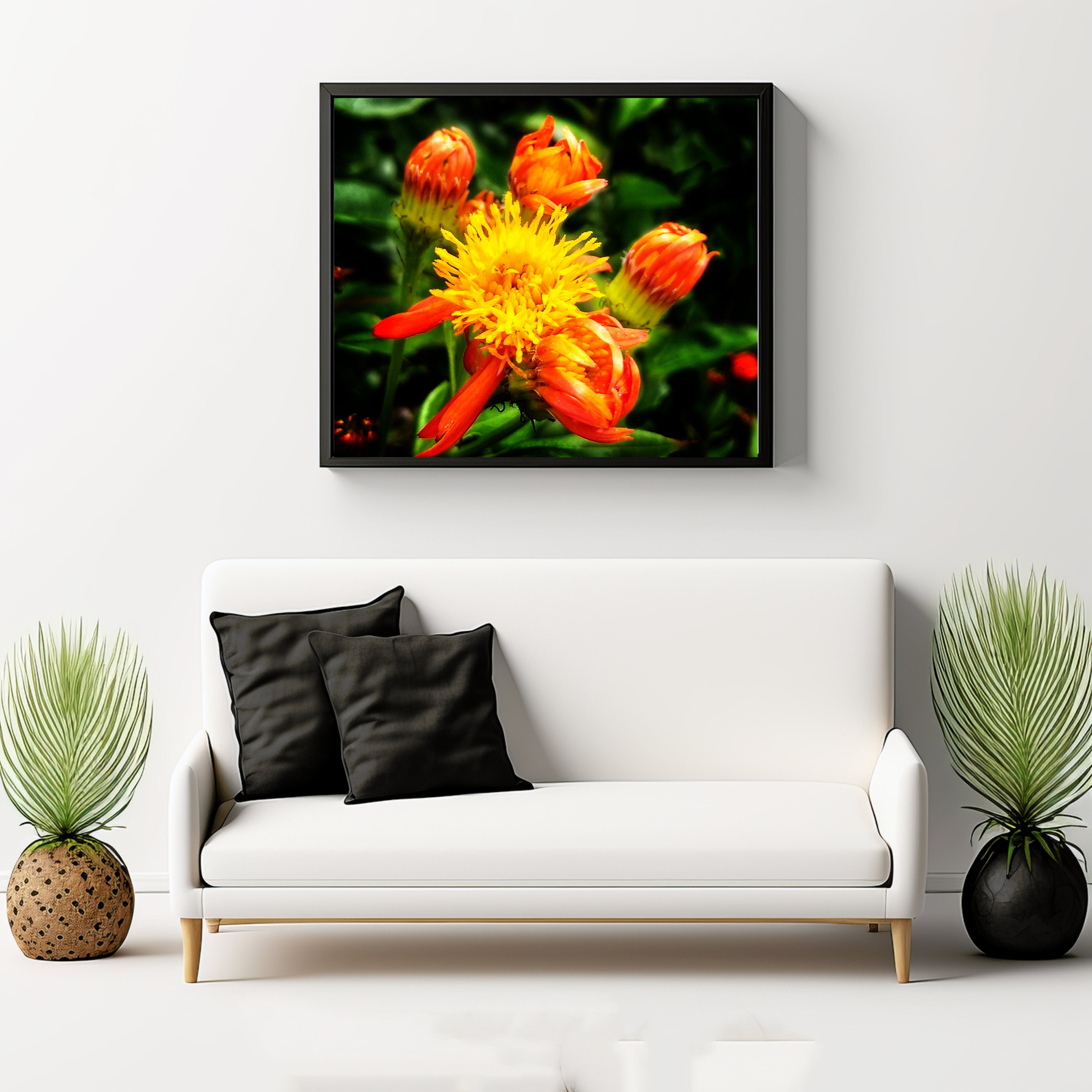 Mexican Flame Vine Photo, Printable Flame Vine Photo, Downloadable Vine ...