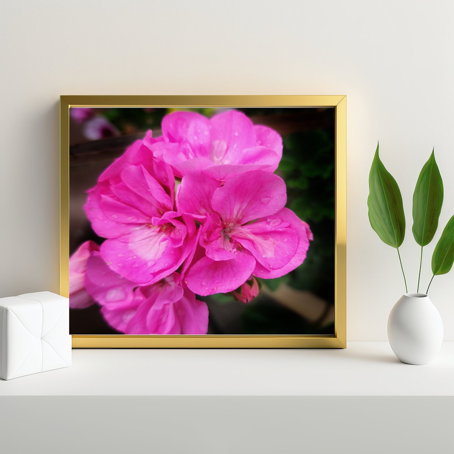 Close up Pink Geranium Photo, Flower Photograph, Downloadable Flower ...