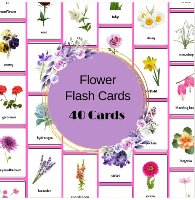 40 Real Flower Flash Cards, Printable Botany Montessori, Flora ...