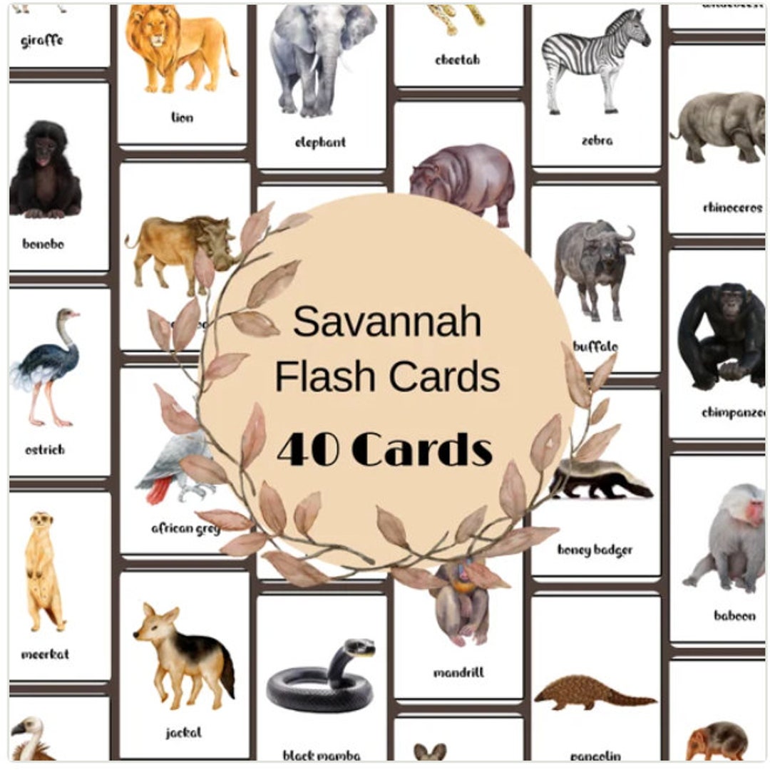 40 Savannah Animals Flash Cards, African Safari Animal Vocabulary ...
