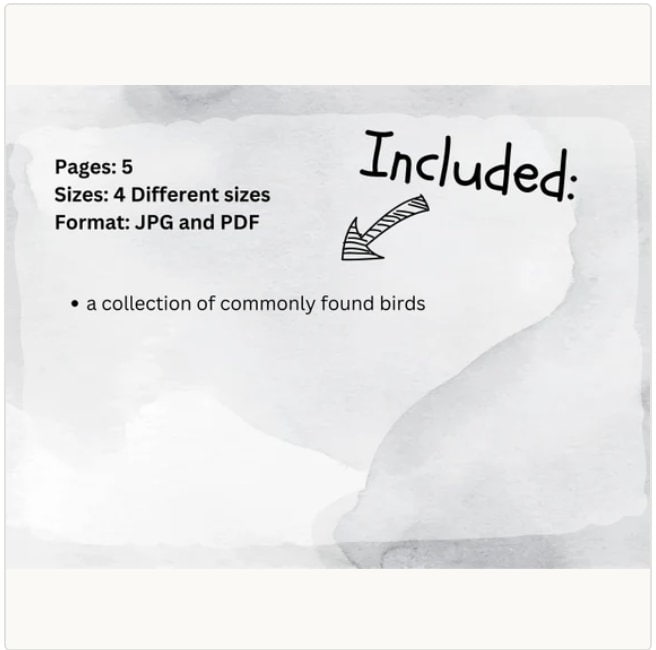40 Bird Flash Cards, Bird Identification Printable Learning Materials ...