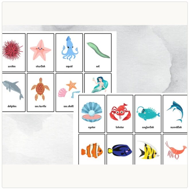 40 Under the Sea Flash Cards, Ocean Animals Printables, Cute Water ...