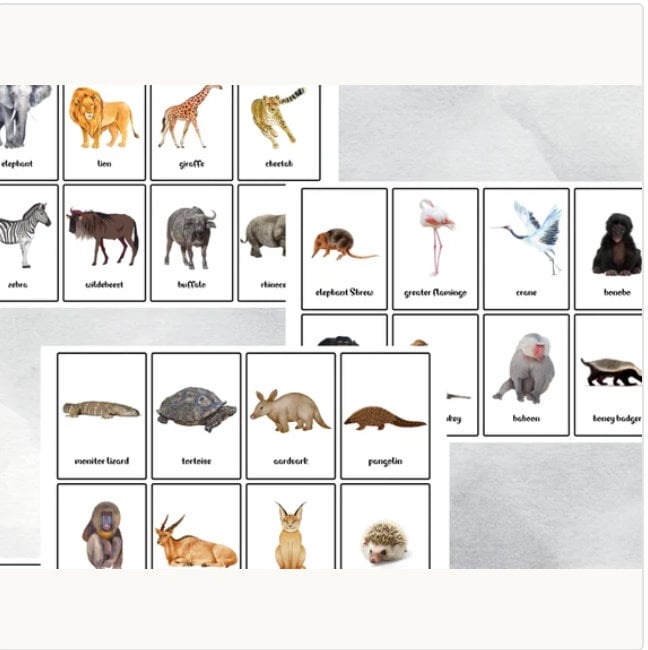 40 Savannah Animals Flash Cards, African Safari Animal Vocabulary ...