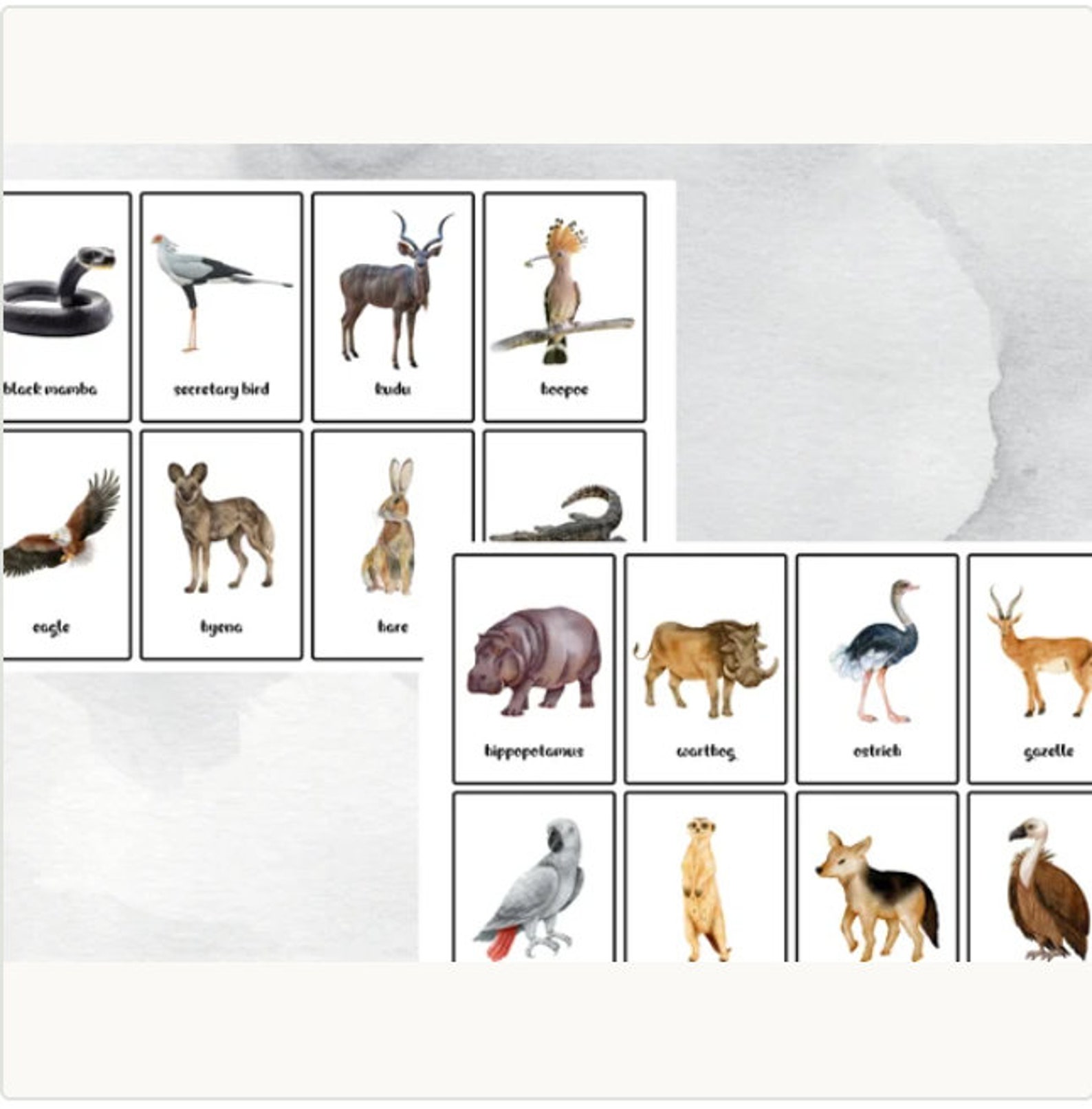 40 Savannah Animals Flash Cards, African Safari Animal Vocabulary ...