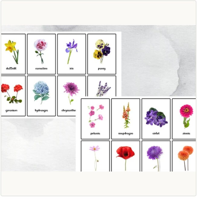 40 Real Flower Flash Cards, Printable Botany Montessori, Flora ...