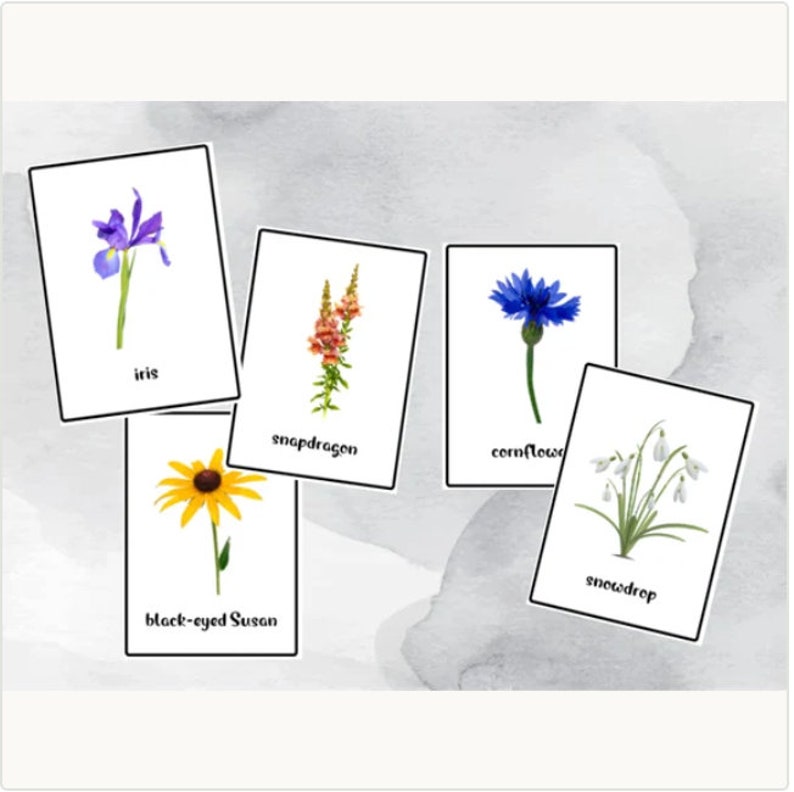 40 Real Flower Flash Cards, Printable Botany Montessori, Flora ...