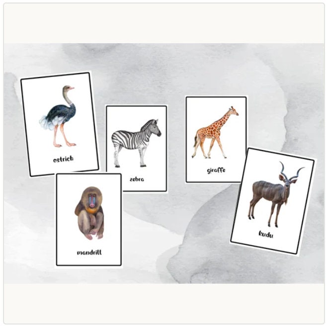 40 Savannah Animals Flash Cards, African Safari Animal Vocabulary ...