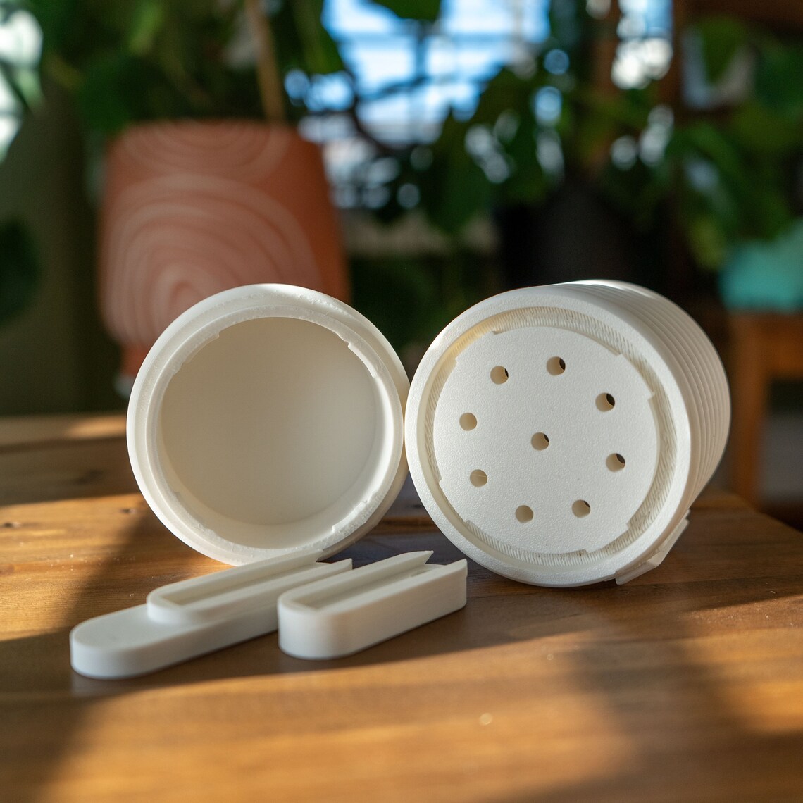 Poppy Wall Mounted, Wall Planter, Hidden Drip Tray, Renter Friendly ...