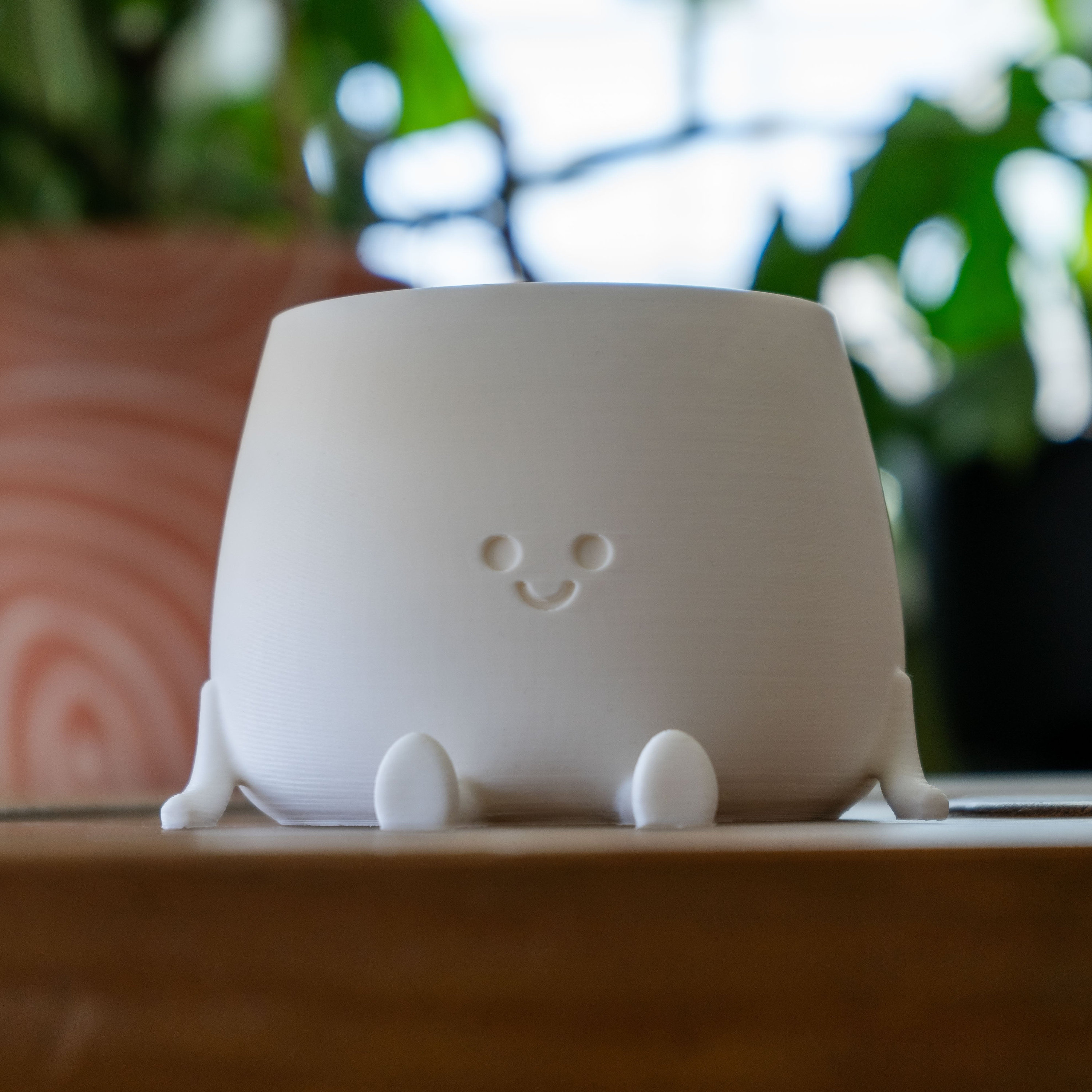 Sittin' Pretty Cute Plant Pot for Succulents and Medium Sized Plants - Etsy