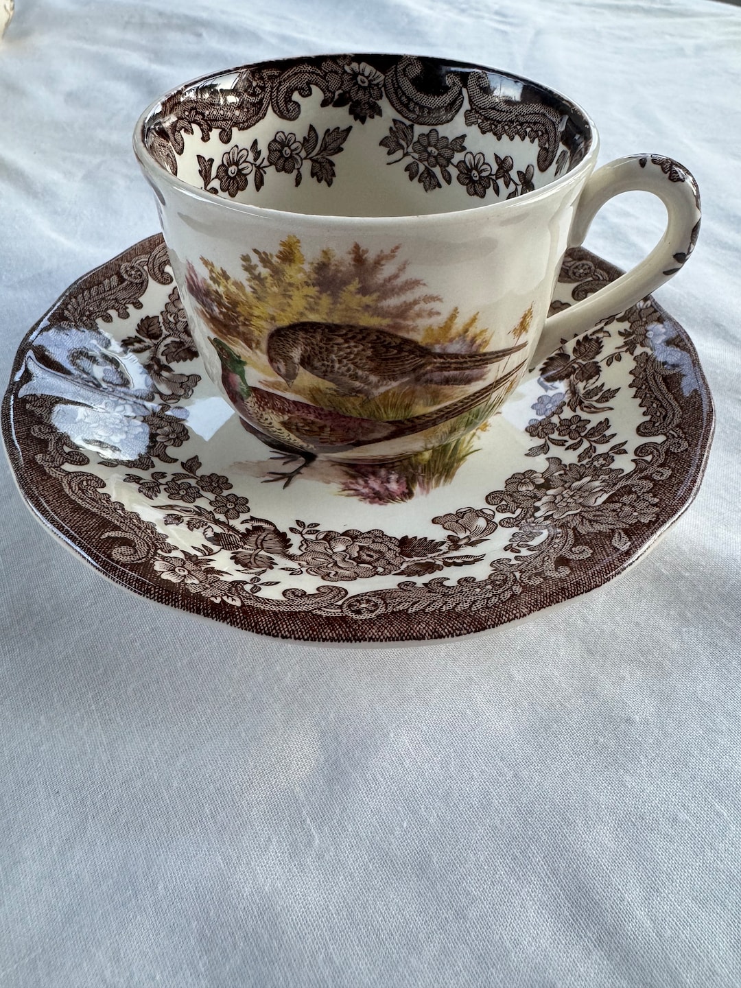 RARE Royal Worcester Palissy Game Series Teacup and Saucer Set C1960s ...