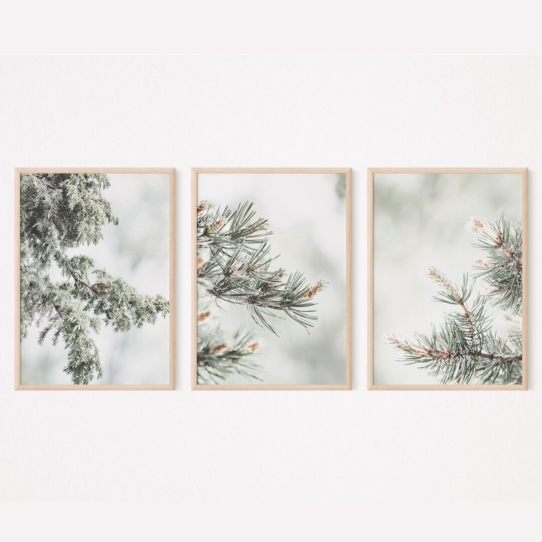 Pine Tree Branch Print Set of 3 Prints: Minimalist Christmas Holiday ...