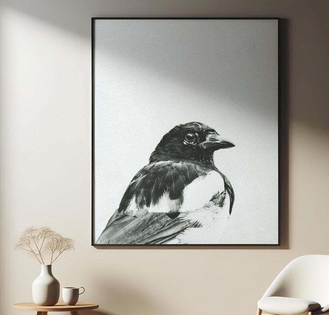 Magpie Bird Black White Animal Art Print Photo Wall Art Minimalist ...