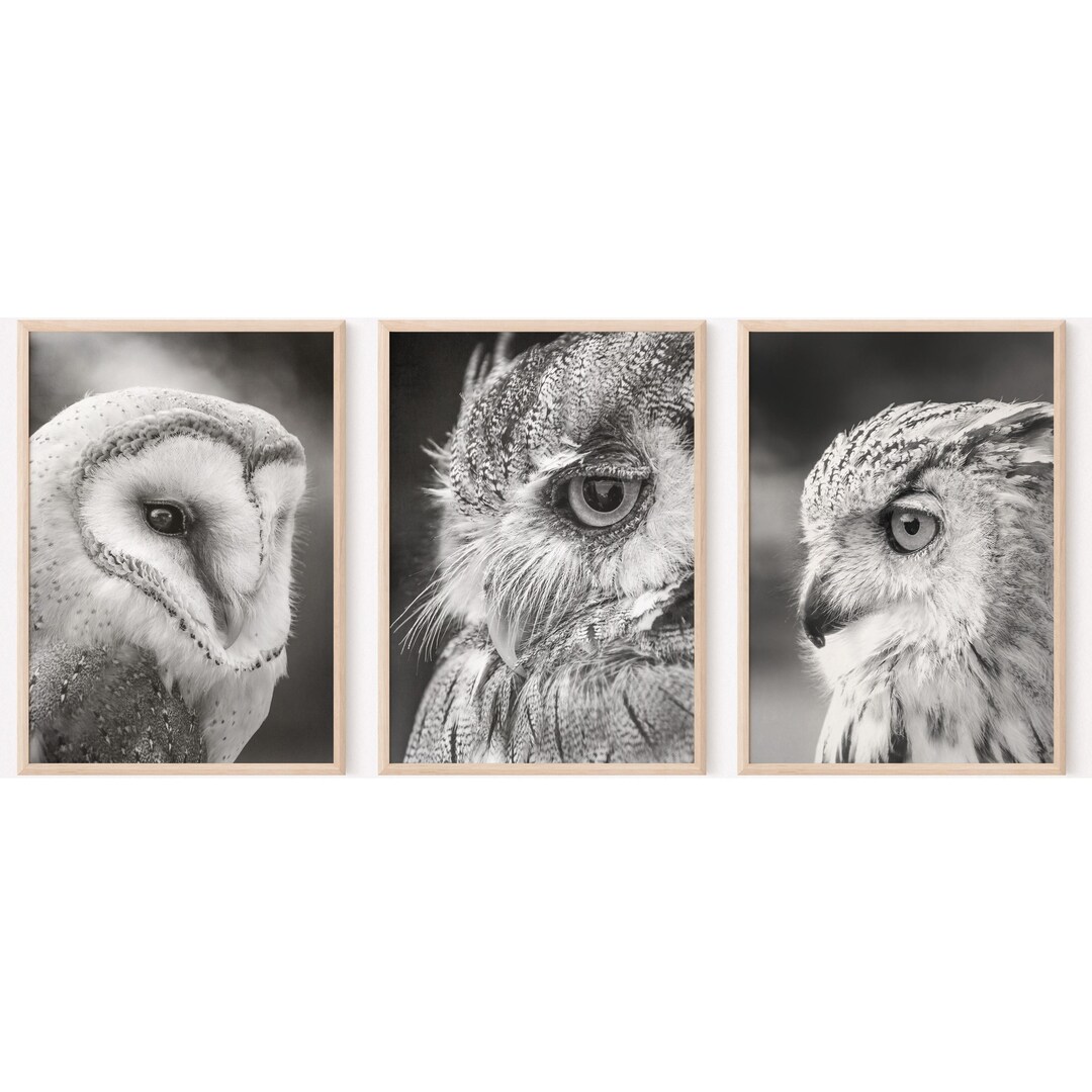 Woodland Owl Art 3 Piece Art Set Woodland Bird Print Set Triptych Wall ...