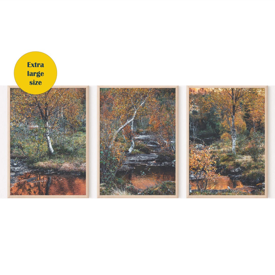 Woodland Theme Triptych Print Set of 3 Forest Birch Tree Wall Art Misty ...