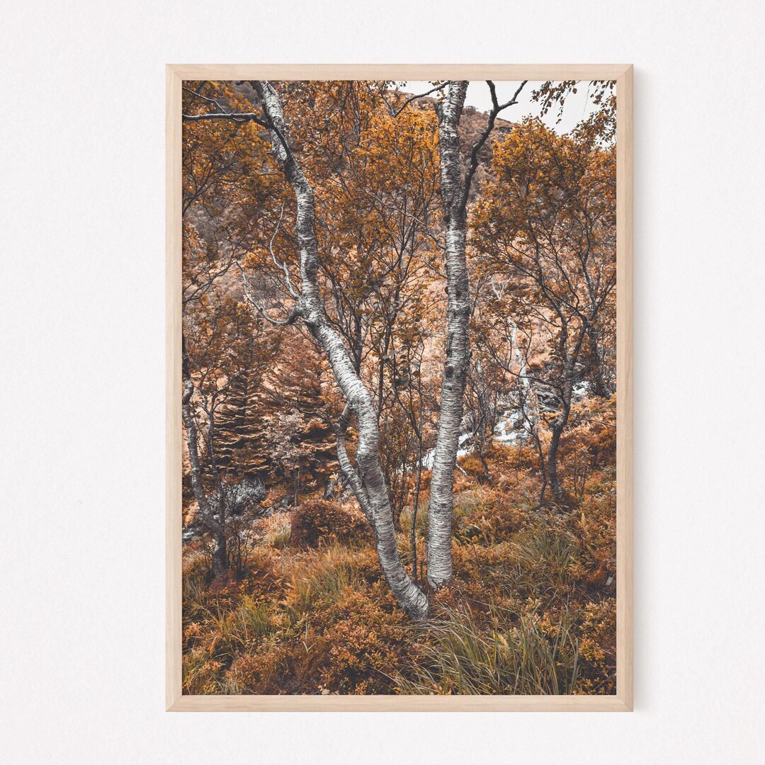 Moody Woodland Print Birch Tree Burnt Orange Decor Forest Scenic Warm ...