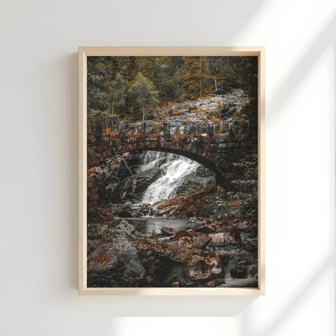 Dark Moody Print Cottagecore Forest Wall Art Enchanted Woods Fine Art ...