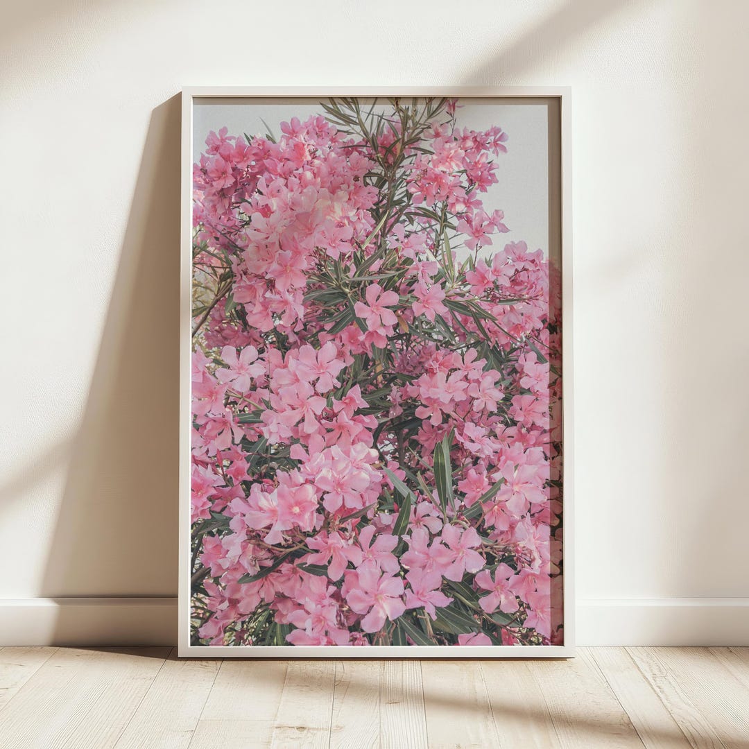 Oleander Print Floral Photo Art Digital Download Pink Oleander ...