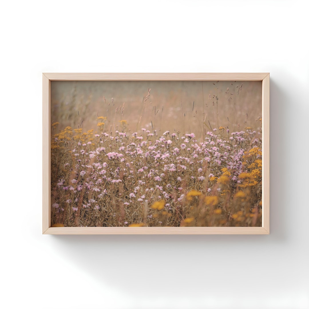 Floral Field Art Nature Print Wildflower Field Photo Wild Flower Meadow ...