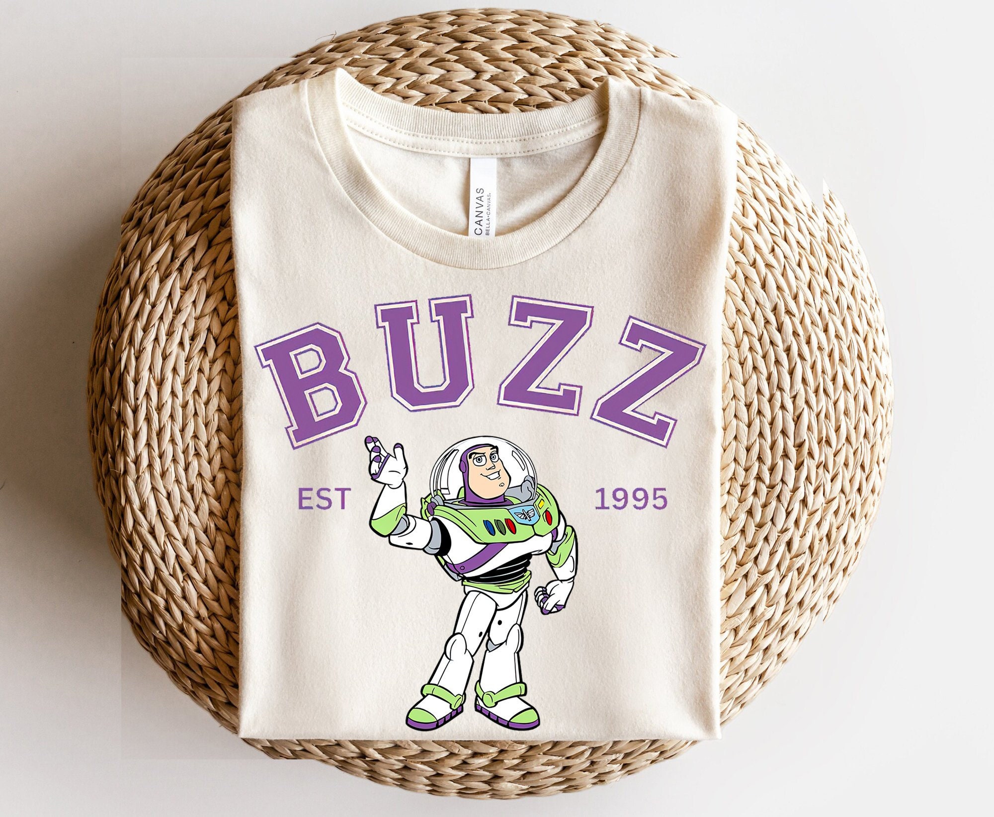 Disney Toy Story Shirt, Matching Family Toy Story T-shirt, Woody, Buzz ...