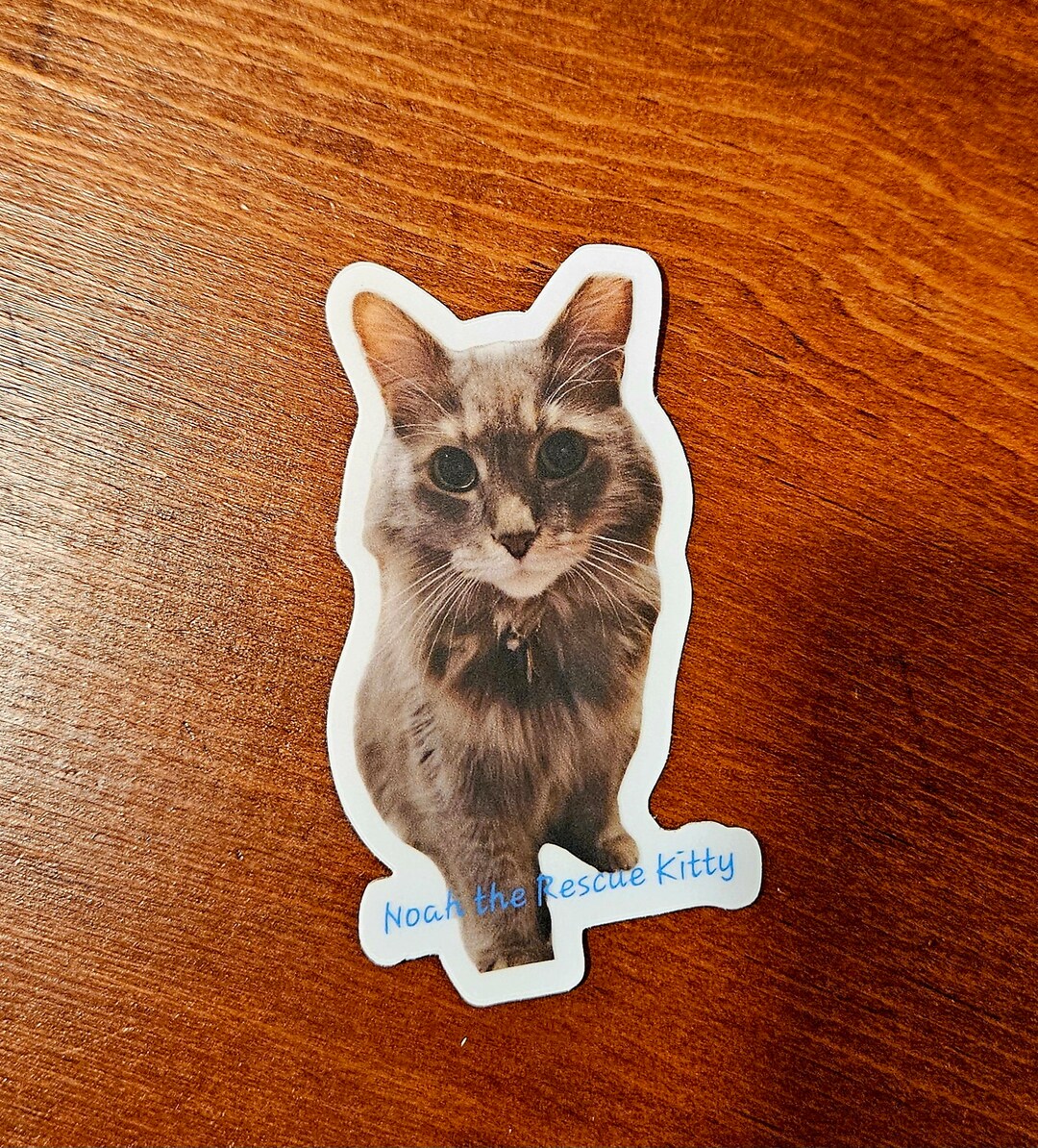 Noah the Rescue Kitty Vinyl Sticker/decal - Etsy