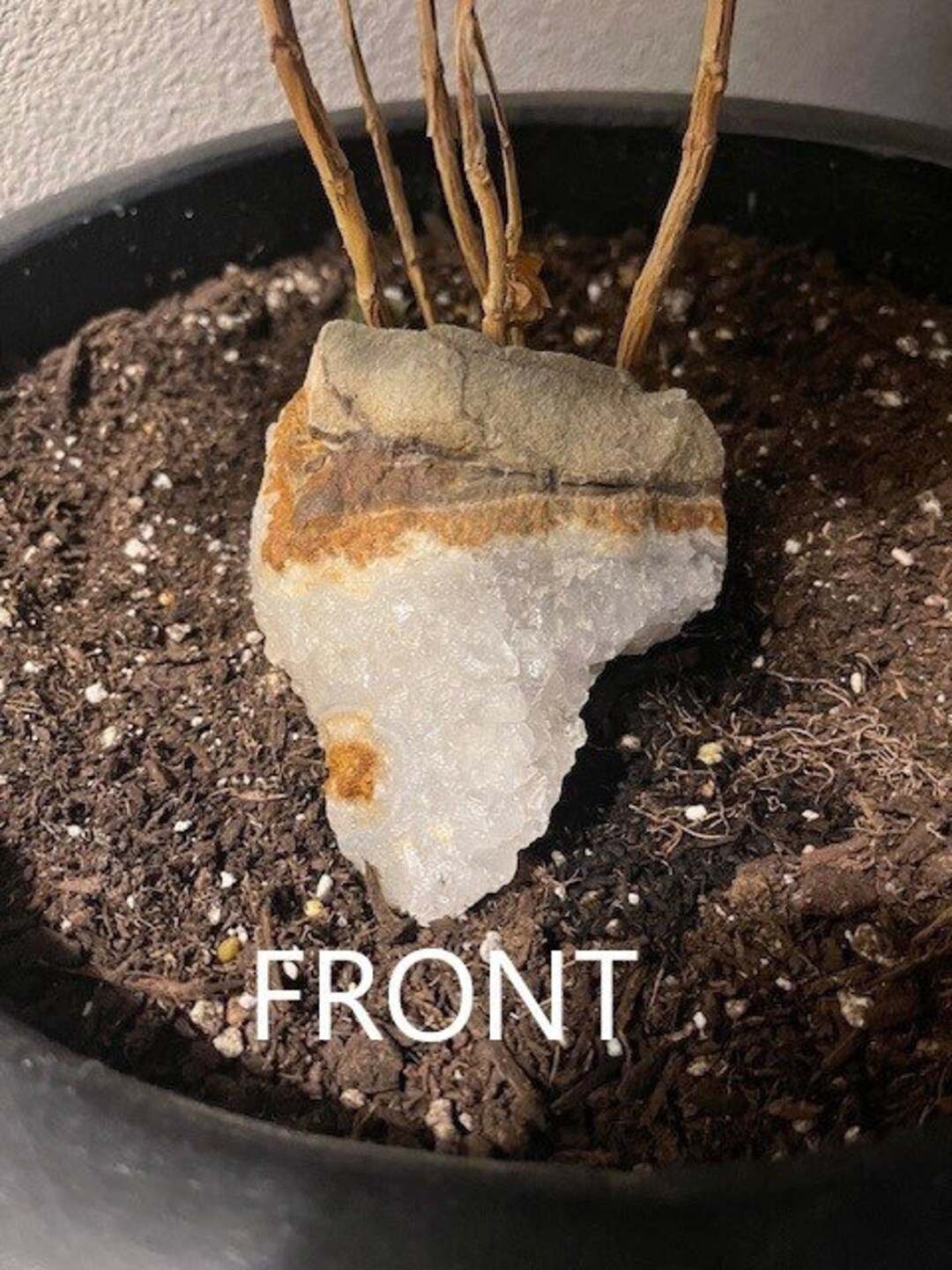 Crystal Tooth Shaped Rock - Etsy