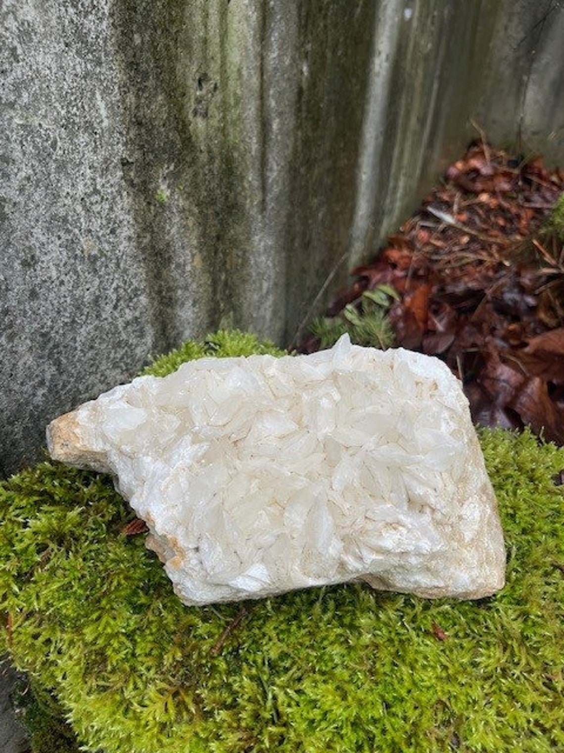 Bladed Calcite Plate Tropical UV Glowing Home Decor Gift - Etsy