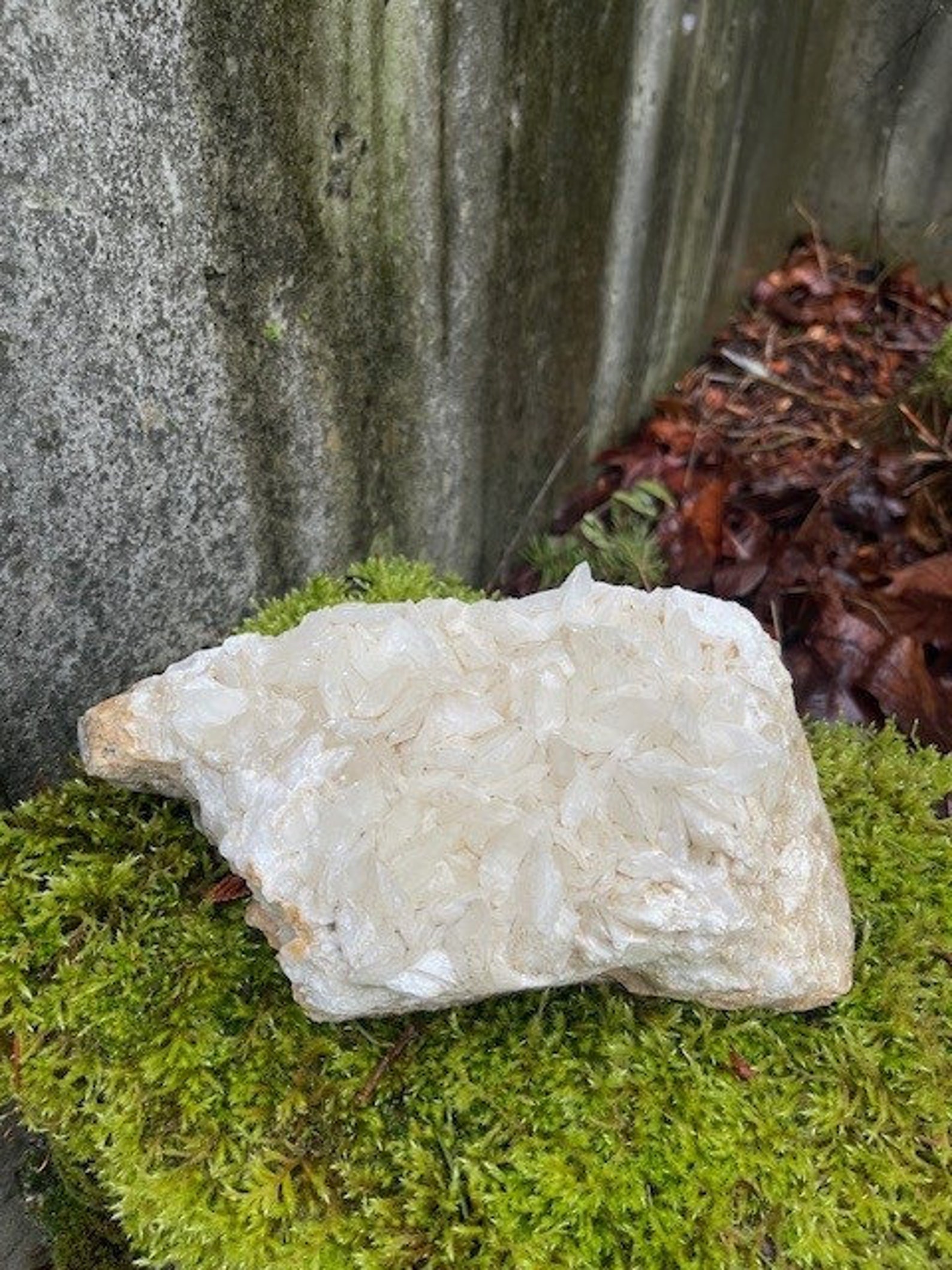Bladed Calcite Plate Tropical UV Glowing Home Decor Gift - Etsy