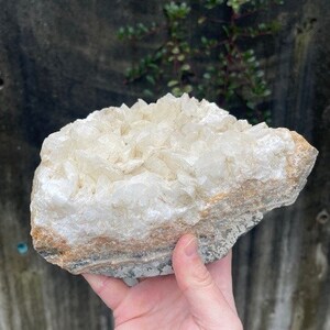 Bladed Calcite Plate Tropical UV Glowing Home Decor Gift - Etsy