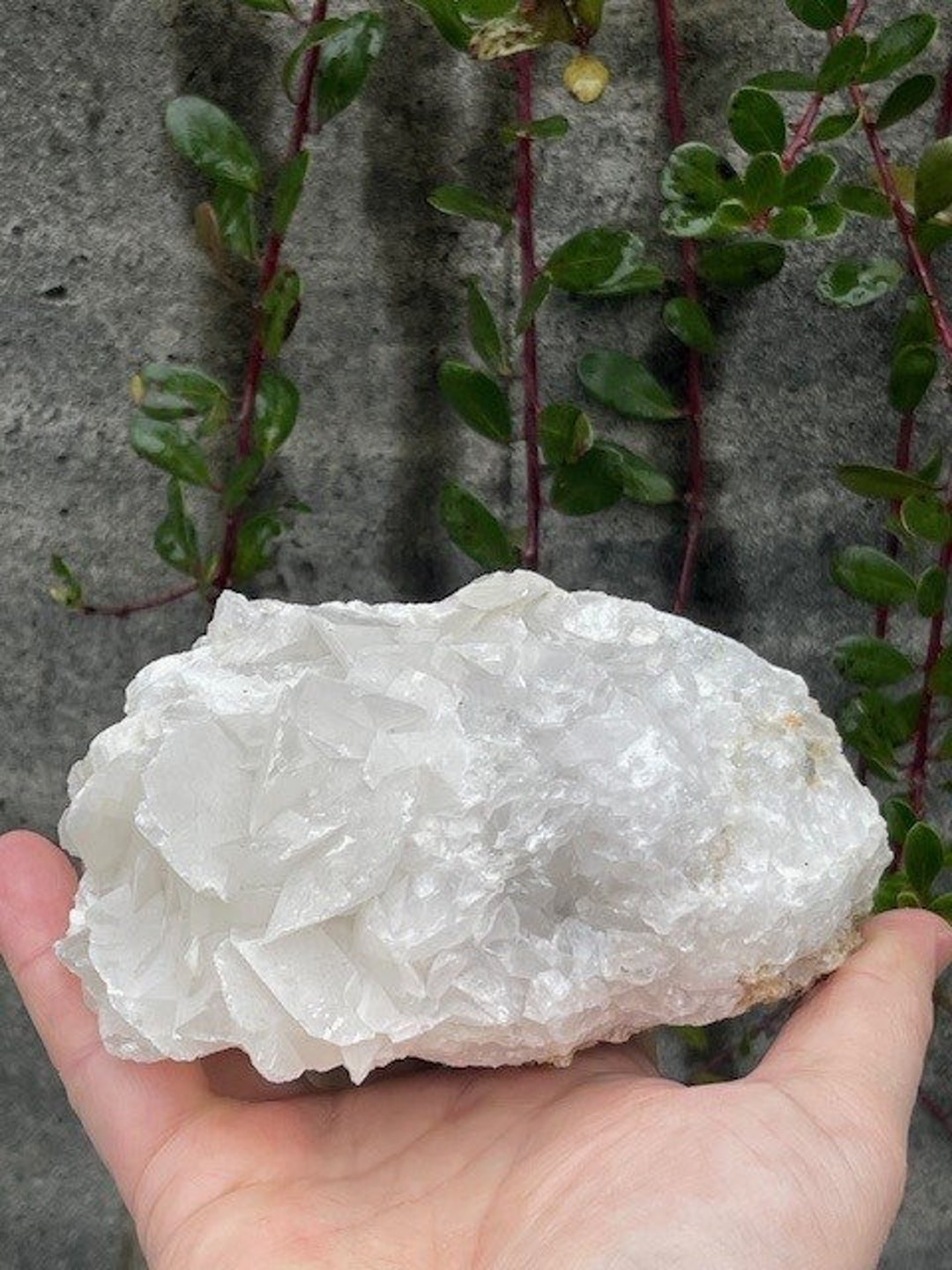 Super Clear Calcite Cluster Bladed Home Decor Gift - Etsy