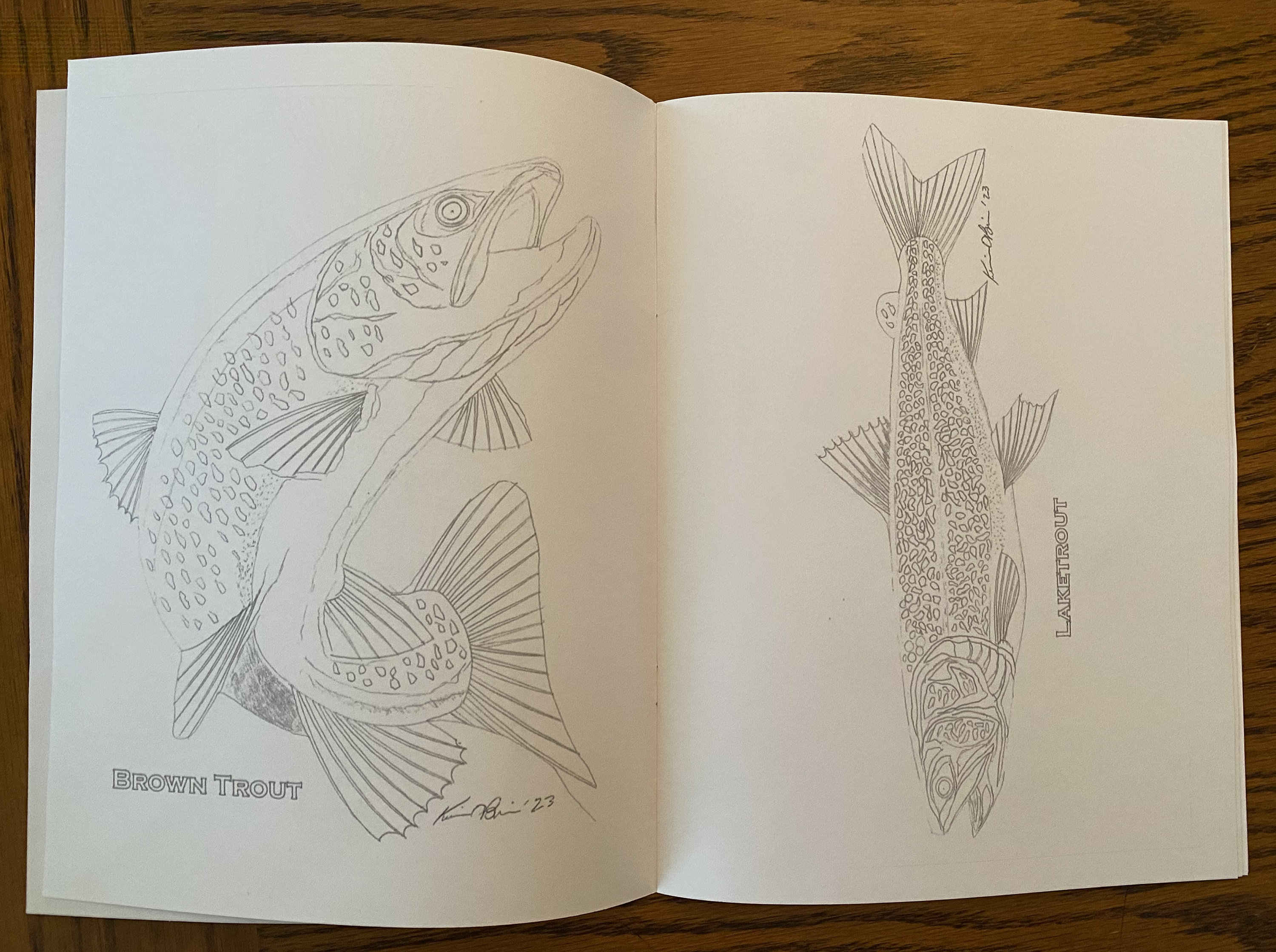 Go Fish Minnesota Coloring Book - Etsy