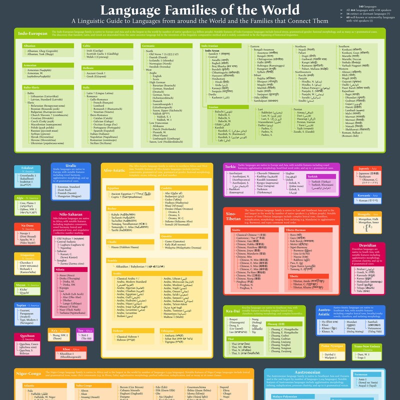 Languages Tree Poster - Etsy