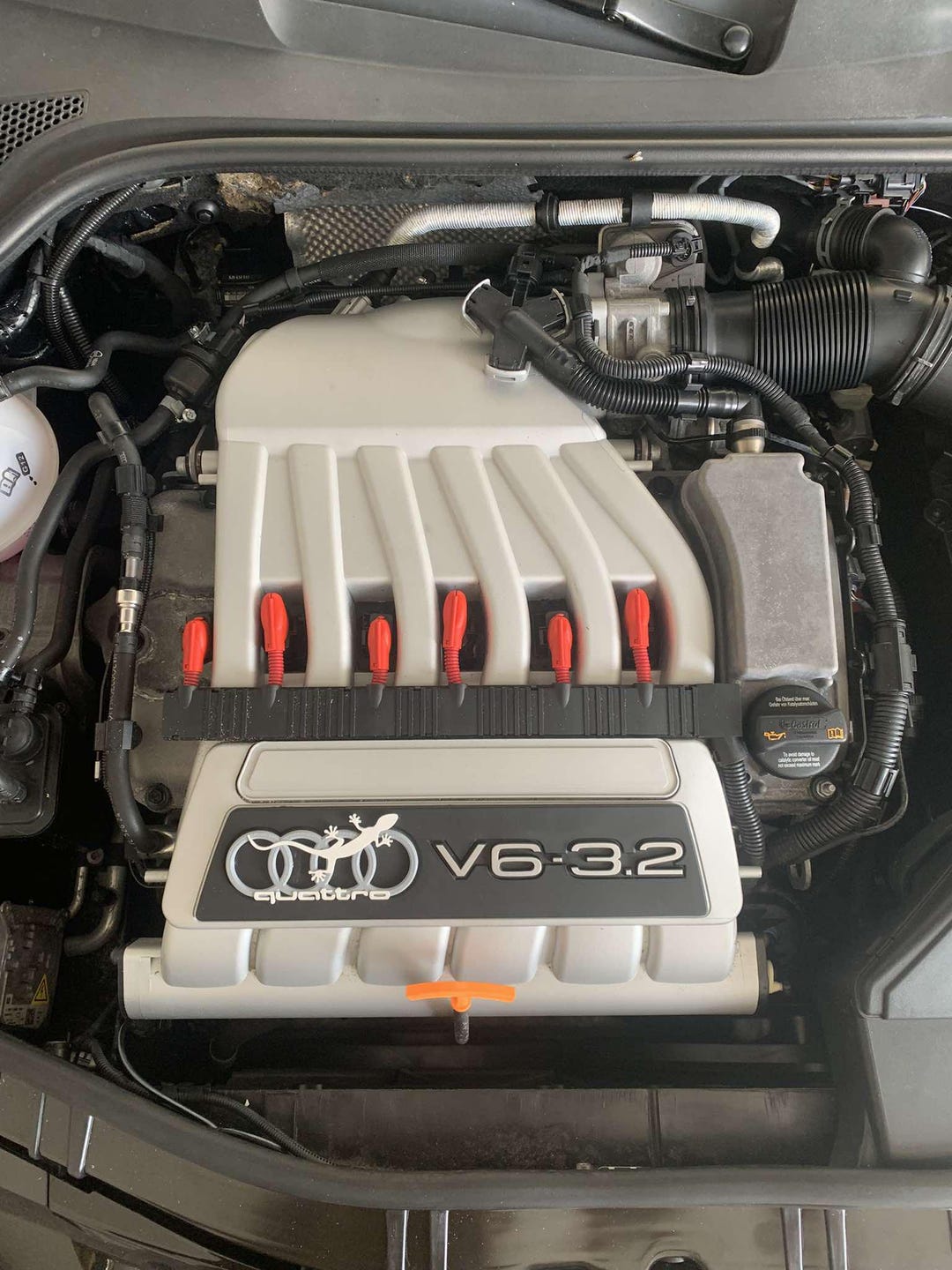 Multi-colored Audi Quattro Logo Engine Cover – 3D Printed Detail for ...