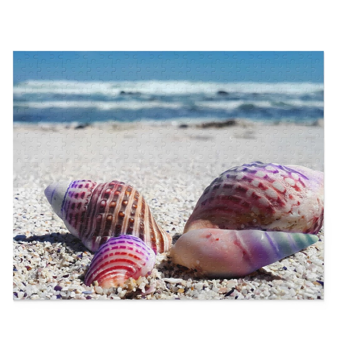 Seashell Puzzle, Bright Colored Seashells, Ocean Puzzle, White Sand ...